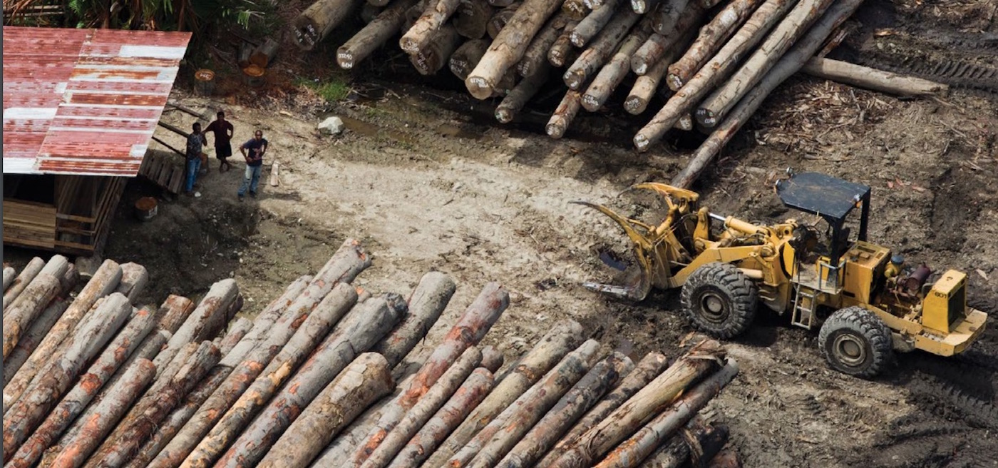 New forest portal to shine a light on Papua New Guinea’s logging ...